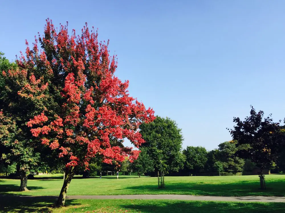 Do we have bog-standard public toilets? One Altrincham councillor thinks so