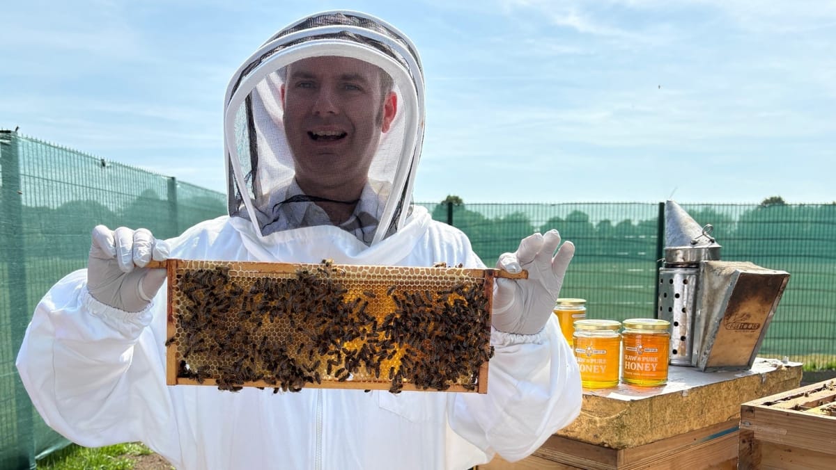 Busy bees make local honey in 200 hives across Trafford
