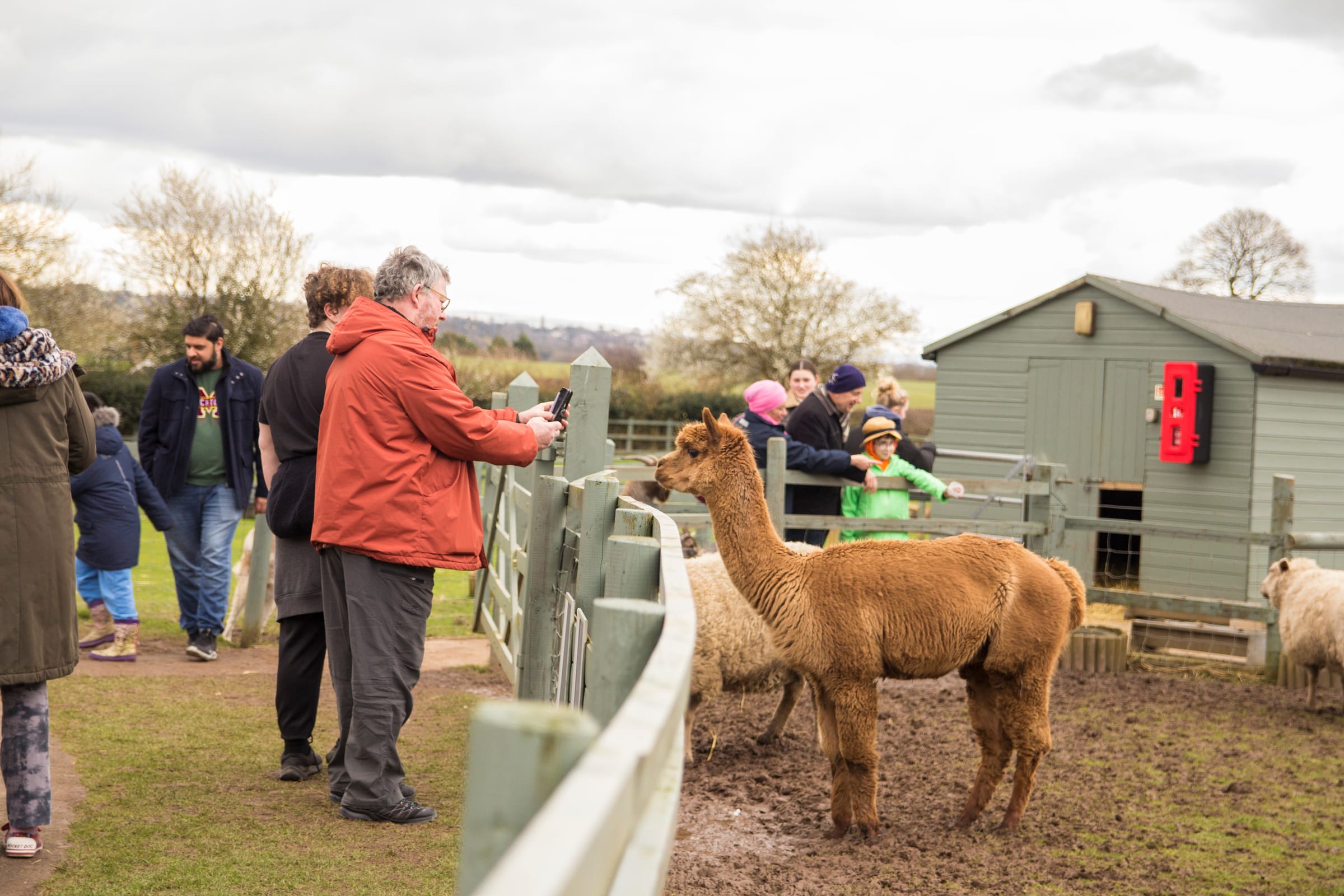 Inside CAFT, the Altrincham farm providing a special haven for 20,000 ...