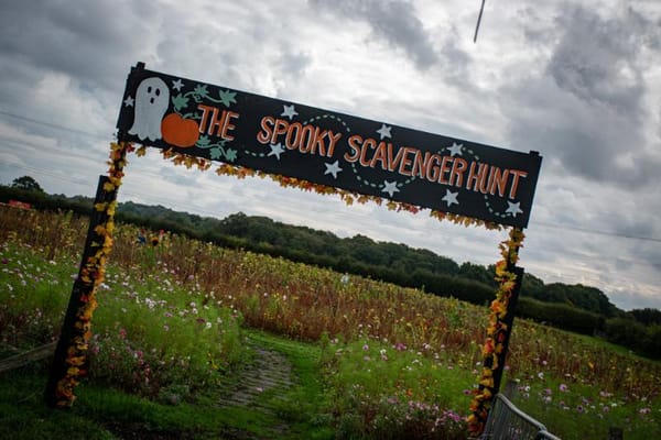 The Pumpkin Patch at Dunham Massey Farm Ice Cream is back - here's how ...